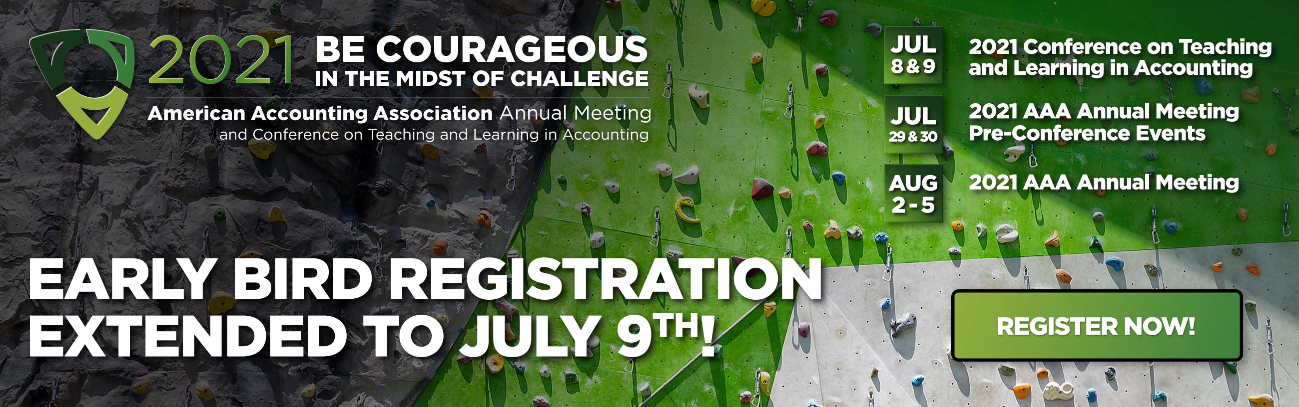 The American Accounting Association