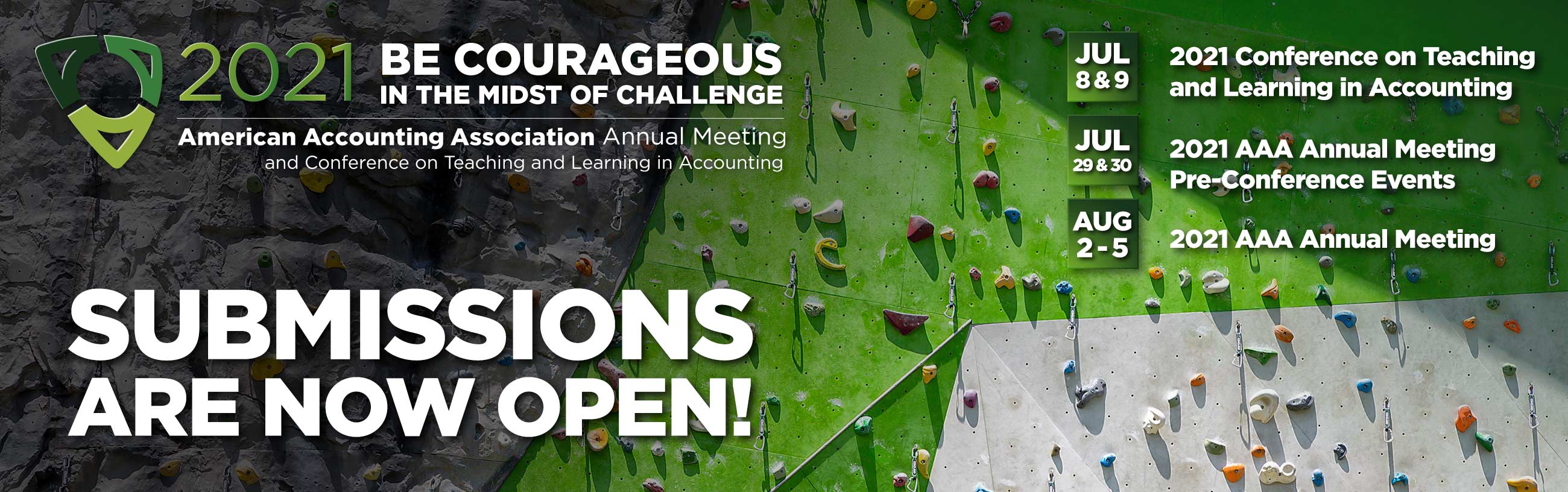 The American Accounting Association